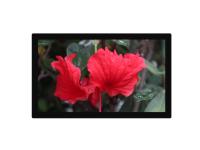 China 32 Inch TFT LCD LED  Video Wall Panels Wall Mounted Advertising Display for sale