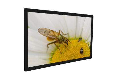 China 49 Inch LCD LED Wall Mounted Digital Advertising Screen 3840*2160 Resolution for sale