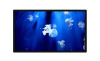 China 55 Inch LCD LED TFT Wall Mounted Advertising Screen 1080P Resolution for sale