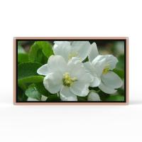China 55 Inch Infrared Touch Screen Wall Mounted Advertising Screen 1080P Resolution for sale