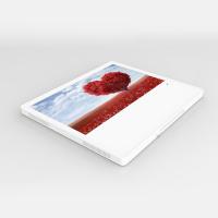 China Super Slim High Brightness 27 Inch Wall Mounted LCD LED TFT Display for sale