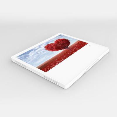 China Super Slim High Brightness 27 Inch Wall Mounted LCD LED TFT Display for sale