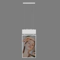 China 49 Inch High Brightness Dual Sided Hanging Display: Easy Ceiling Mount Installation for sale