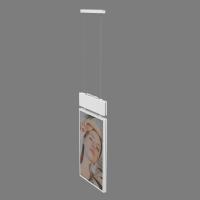 China 55 Inch Dual Sided Hanging Advertising Display: Ultra-Bright And Network Enabled for sale