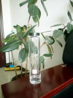China Fancy Design Small Capacity Perfume Glass Bottle for Sustainable Packaging Solutions for sale
