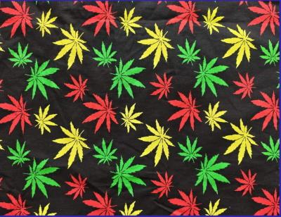 China 100% Cotton Beach Shorts Fabric for sale