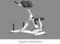 China Rohs Roman Chair Back Extension Exercise Machine for Gym for sale
