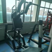 China Sport fitness gym machine for commercial for home for free weight strength equipment with plate loaded for sale