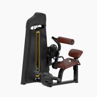 China Leg Press-Back  commercial gym equipment for sale