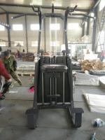 China Custom Logo Body Gym Upper Limbs Machine 1300*890*1620mm for sale