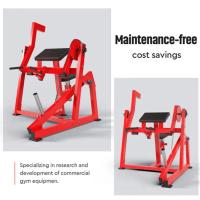 China Plate Loadable Hammer Strength Seated Dip Machine OEM ODM for sale