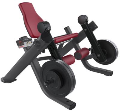 China Leg Extension Free Weight Gym Equipment D Shape Tube ISO Lateral Kneeling Leg Curl for sale