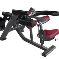 China 2 In 1 Free Weight Gym Equipment Synthesis Seated Dip Machine for sale