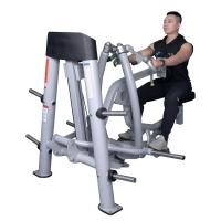 China Biceps Curl Machine health exercise  Gym equipment for sale