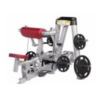 China Biceps Curl Machine health exercise  Gym equipment for sale