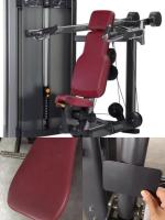 China 3mm Tube New Life Fitness Equipment Seated Biceps Curl 1440*1440*1480mm for sale