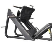 China Gym Equipment Leg Press Body Building Commercial Strength Fitness Equipment for sale