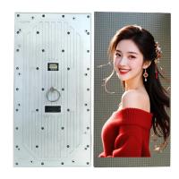 China LED Display Module& Panel for sale