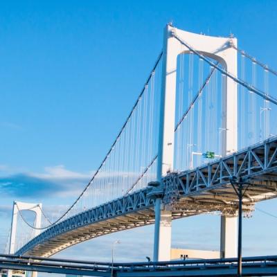 China Q690B Q550B Q460B Q420B Steel Structure Prefabricated Truss Bridge Fabricators for sale