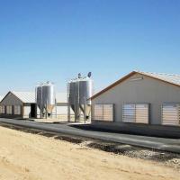 China Anti Rust Steel Structure Poultry House Prefab Industrial Buildings Lightweight for sale