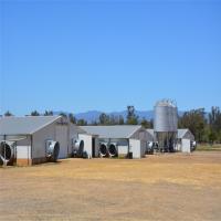 China Fire Resistant Steel Structure Prefabricated Storage Buildings Warehouse Poultry House for sale