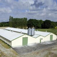 China Weatherproofing Galvanized Prefab Modular Buildings Structure Poultry House for sale