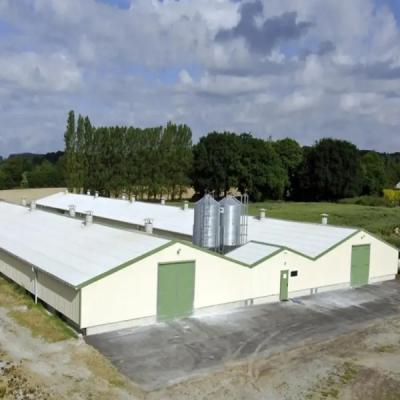 China Weatherproofing Galvanized Prefab Modular Buildings Structure Poultry House for sale