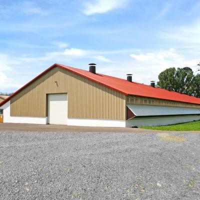 China Customized Prefab Poultry House Modular S235JR S355JR Steel Structures for sale