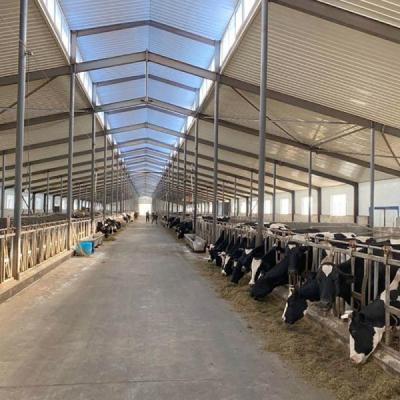 China Portable Expandable Steel Structure Poultry House Prefab Warehouse Office for sale