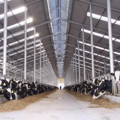 China Off Site Steel Structure Prefabricated Poultry House Chicken Shed Workshop for sale
