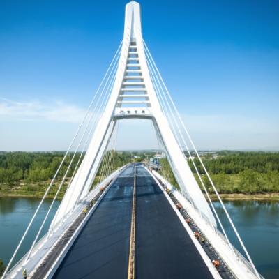 China Anti Corrosion Suspension Steel Structure Bridge Marine Grade OEM for sale