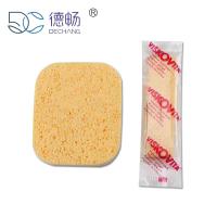 China Imported Compression Sponge / Original VISKOVITA Cleaning Sponge for sale