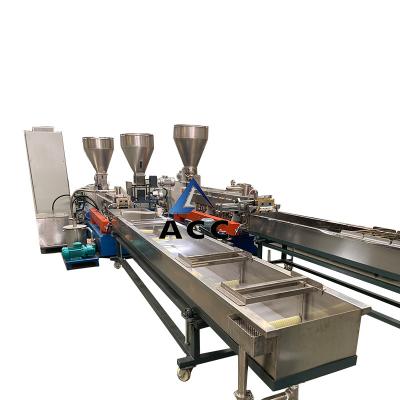 China Twin Screw Extruders For Plastic Procesing Filling Blending Modification Reinforcement Granulation for sale