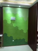 China 9mm / 12mm PET Customized Acoustic Panels Carved For Home School Wall for sale