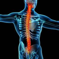 China Comfortable Lumbar Decompression Machine Spinal Decompression Device for sale