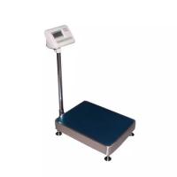 China Electronic Digital Platform Scale 250KG 500KG 600KG Intelligent Counting for sale