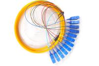 China Length 1.5m SC UPC Fiber Optic Pigtail Single Mode SM 12core for sale