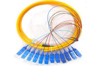 China Length 1.5m SC UPC Fiber Optic Pigtail Single Mode SM 12core for sale
