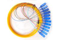 China Length 1.5m SC UPC Fiber Optic Pigtail Single Mode SM 12core for sale