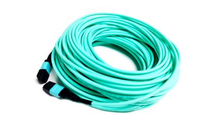 China 12 Core 10m MPO patch cable Multimode OM3 Exchangeability CATV for sale