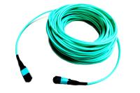 China 12 Core 10m MPO patch cable Multimode OM3 Exchangeability CATV for sale
