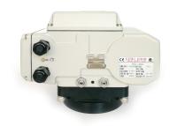 China Two Auxiliary Limit Switches 400Nm NEMA4 DC Rotary Actuator for sale