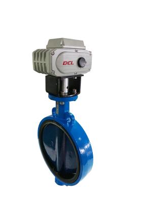 China Fluorine Lined DN250 SS316L Electric Butterfly Valve for sale
