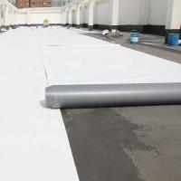 China Professional TPO Waterproof Membrane for Effective Roofing Solutions for sale
