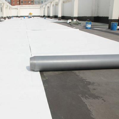 China Professional TPO Waterproof Membrane for Effective Roofing Solutions for sale