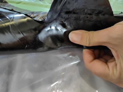 China Reinforcement Wet Laying Self Adhesive Waterproofing Membrane 1.5mm 2.0mm Thickness for sale