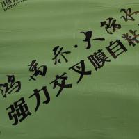 China High Polymer Strong Cross Self Adhesive Sheet Waterproofing For Civil Construction for sale