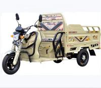 China 265kg Tricycle For Adults Motorized for sale