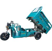 China Open 33 Hydraulic Shock 2.5m*1.0m Electric Cargo Tricycle for sale