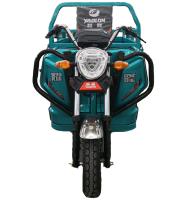 China Elder Pedal Assisted 3.1m*1m Electric Cargo Tricycle for sale